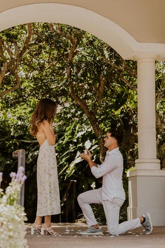 Paige Napolitano and Jake Geyer's Wedding Website