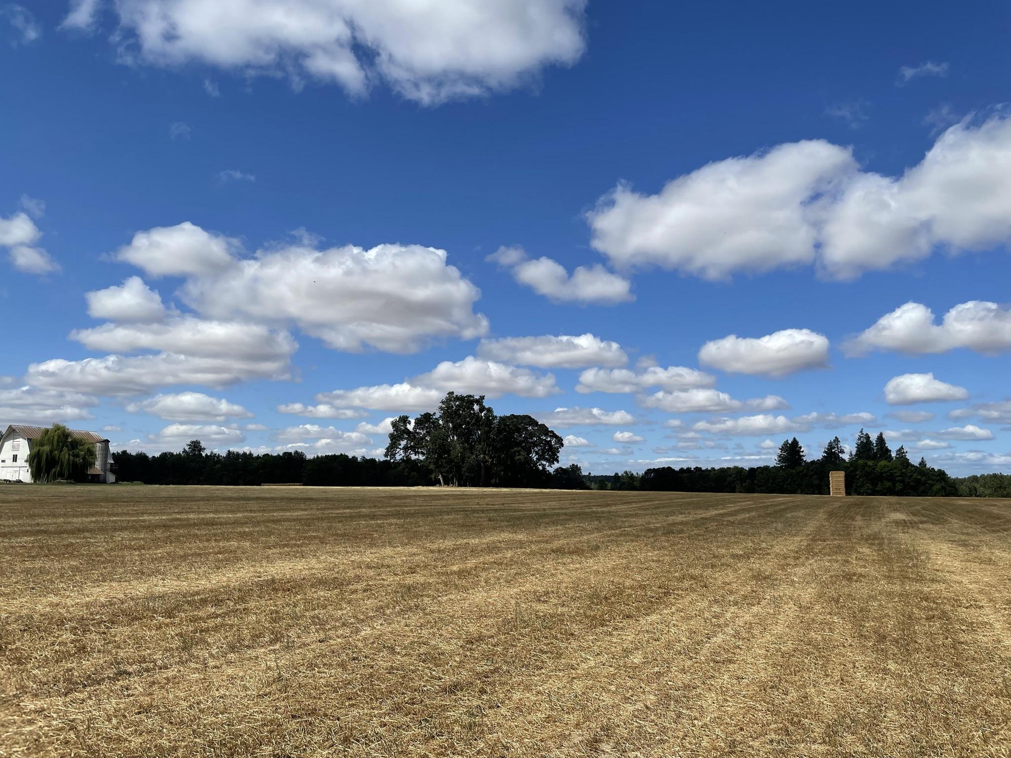 Sophia Dykast and Garret Adams' Wedding Website