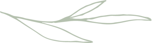 Brian Closs and Steph Lobaccaro's Wedding Website