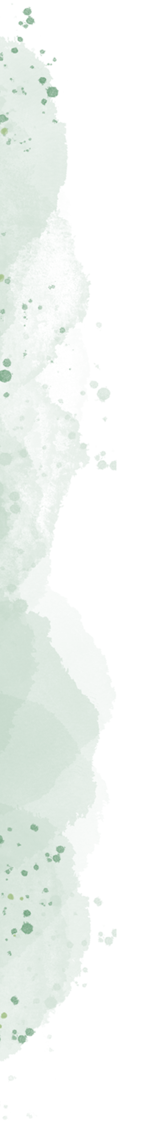 Shane Bulosan and Anna Golda Montilla's Wedding Website