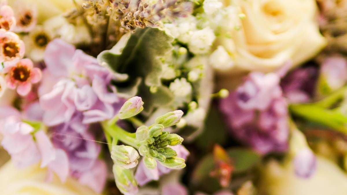 Welch Photography Wedding Photographers Cost Reviews And Photos Zola