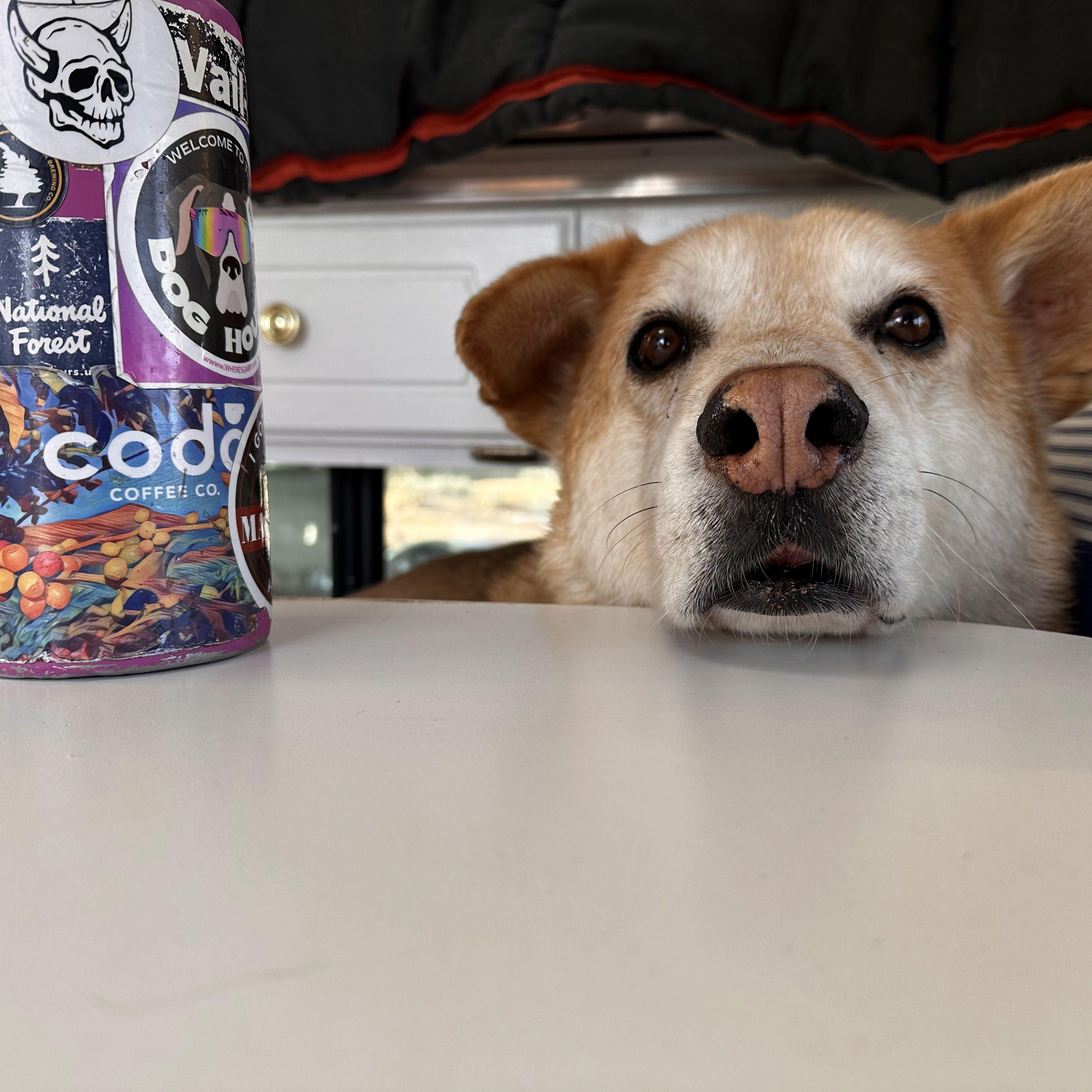 Lydia Anderson and Aaron Orta's Wedding Website