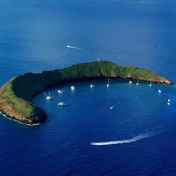 Claire Willmschen and Caleb Petty's Wedding Registry on Zola