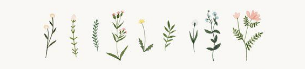 Riley Tully and Tanner Munizich's Wedding Website