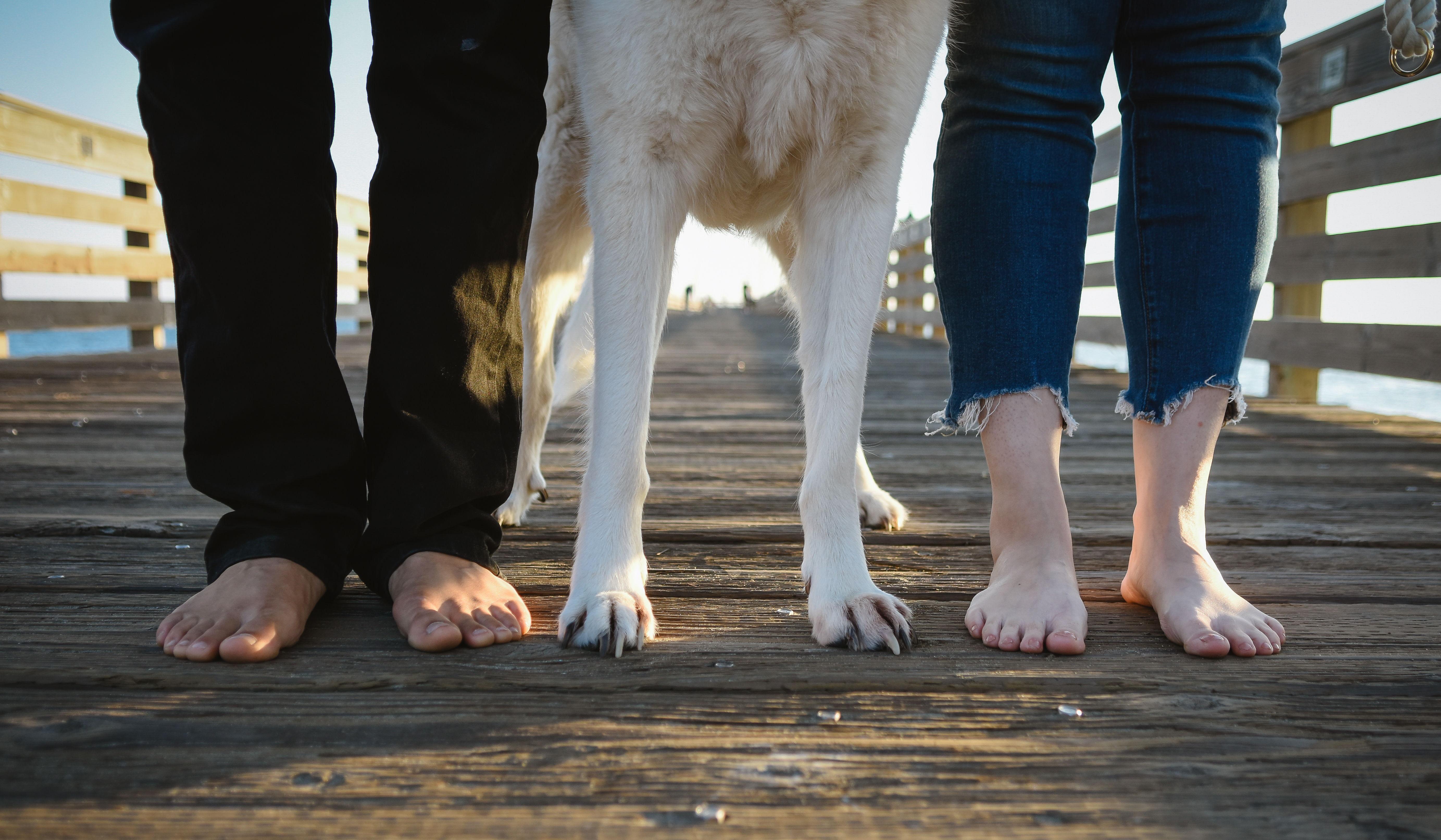 Seamus Jones and Leslie Nelson's Wedding Website