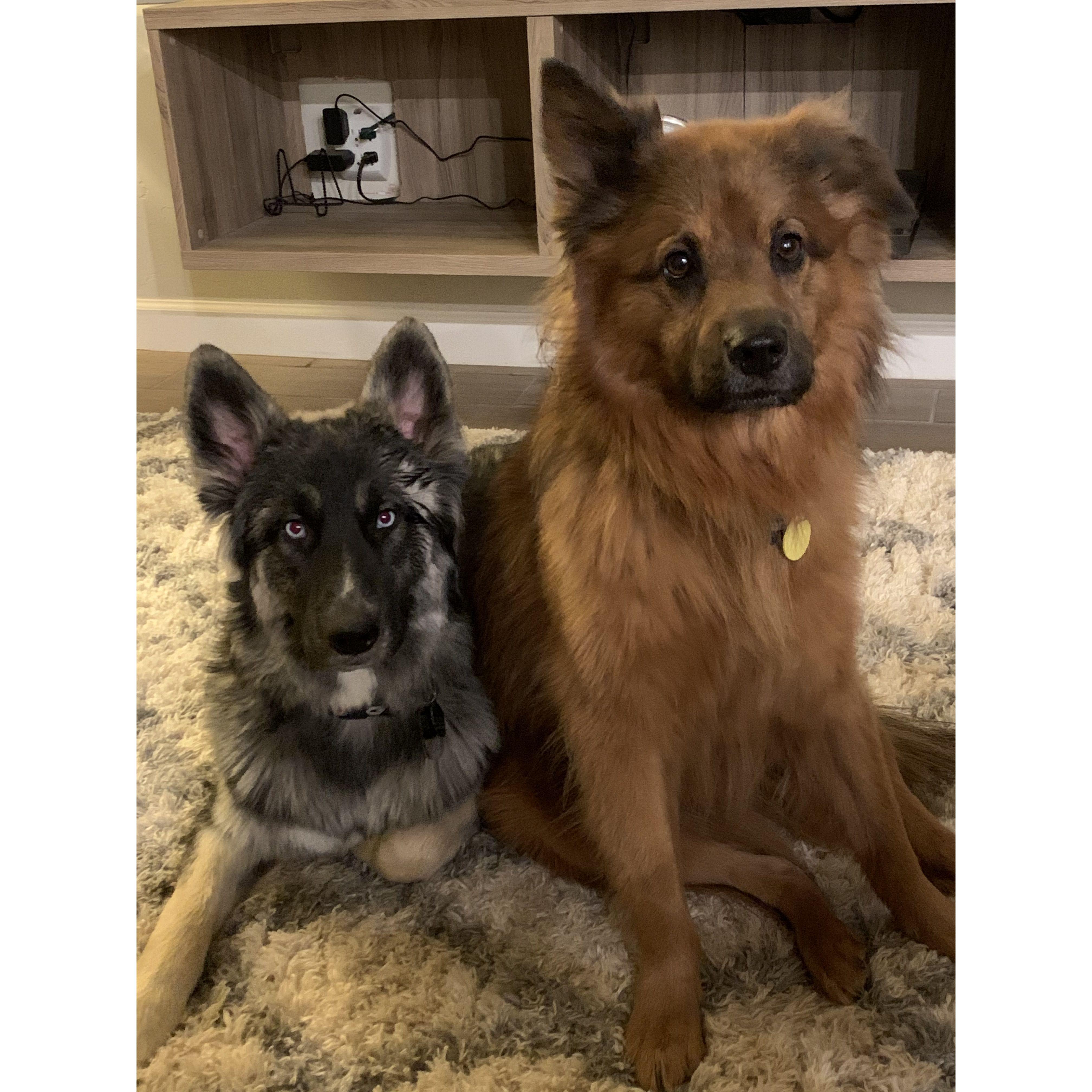 Audrey Flood and Frank Oesterling's Wedding Website