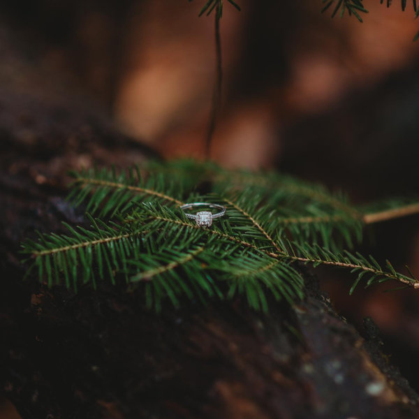 Abigail Kologe and Brandon Weatherman's Wedding Website