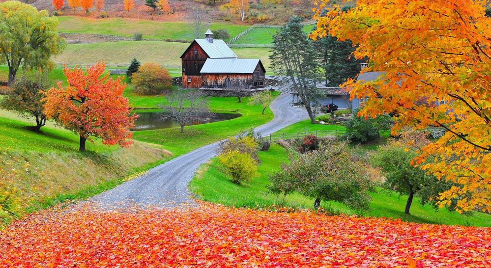 Ashley Dudek and Timothy Wade's Wedding Website