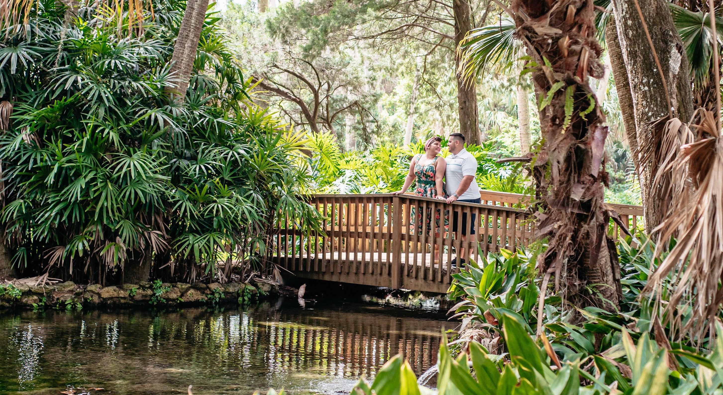 Carol Deason and John-Karl Looney's Wedding Website