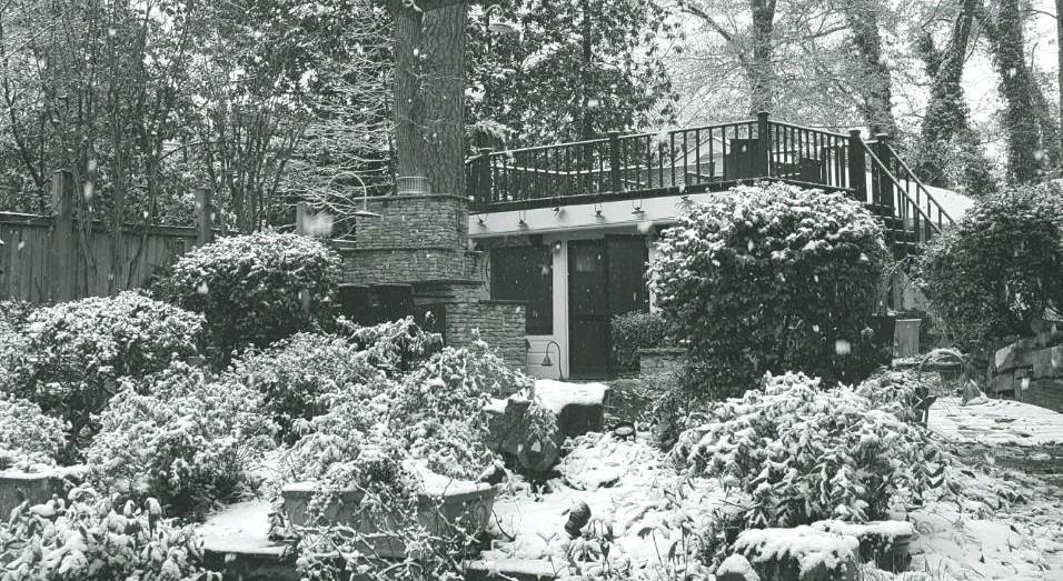 Jamlik-Omari Johnson and Adanté Harvey's Wedding Website