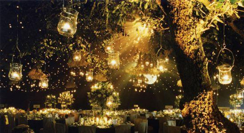 Erika Engle and Vincent Bouma's Wedding Website