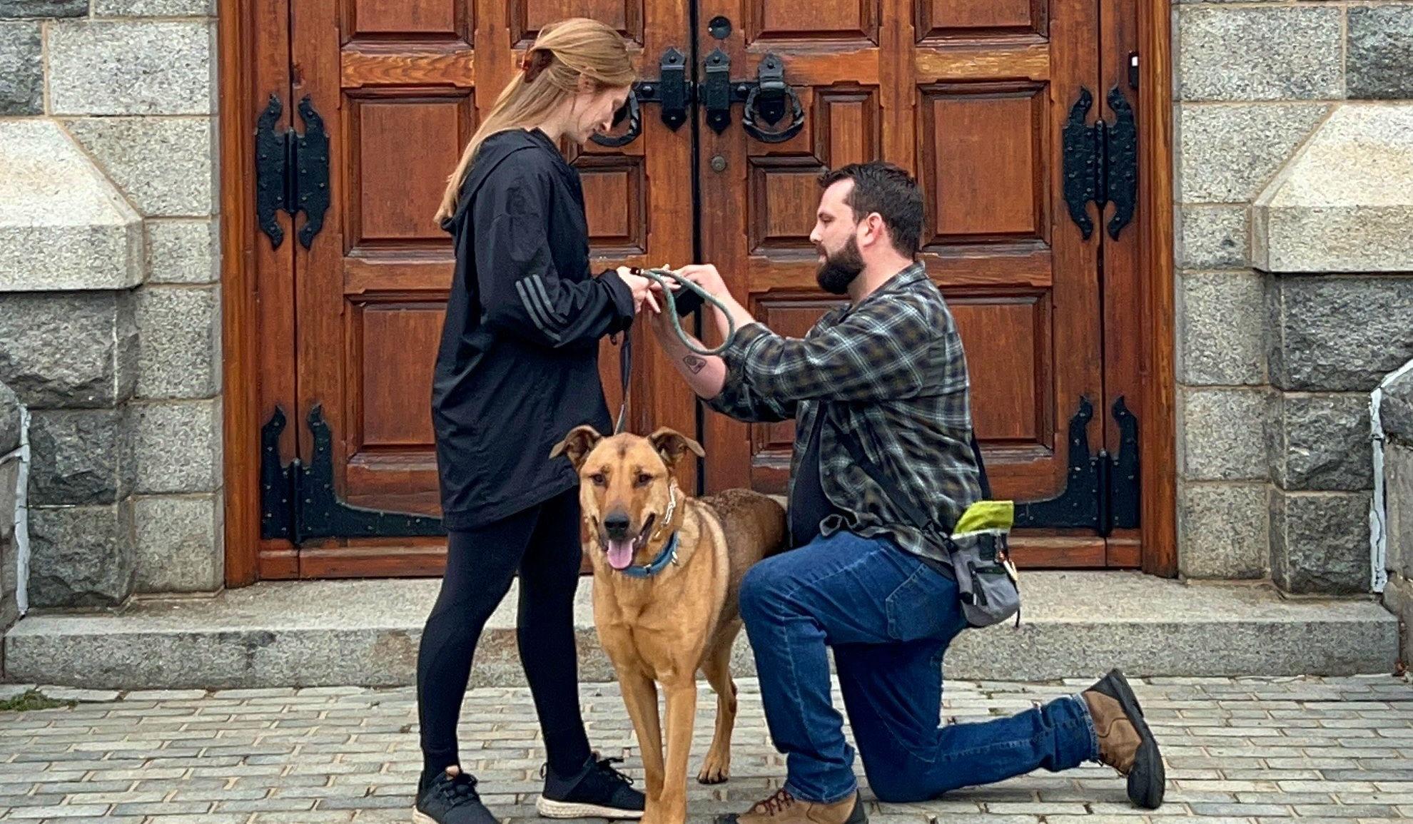 Kelly McGill and Samuel Kelaher's Wedding Website