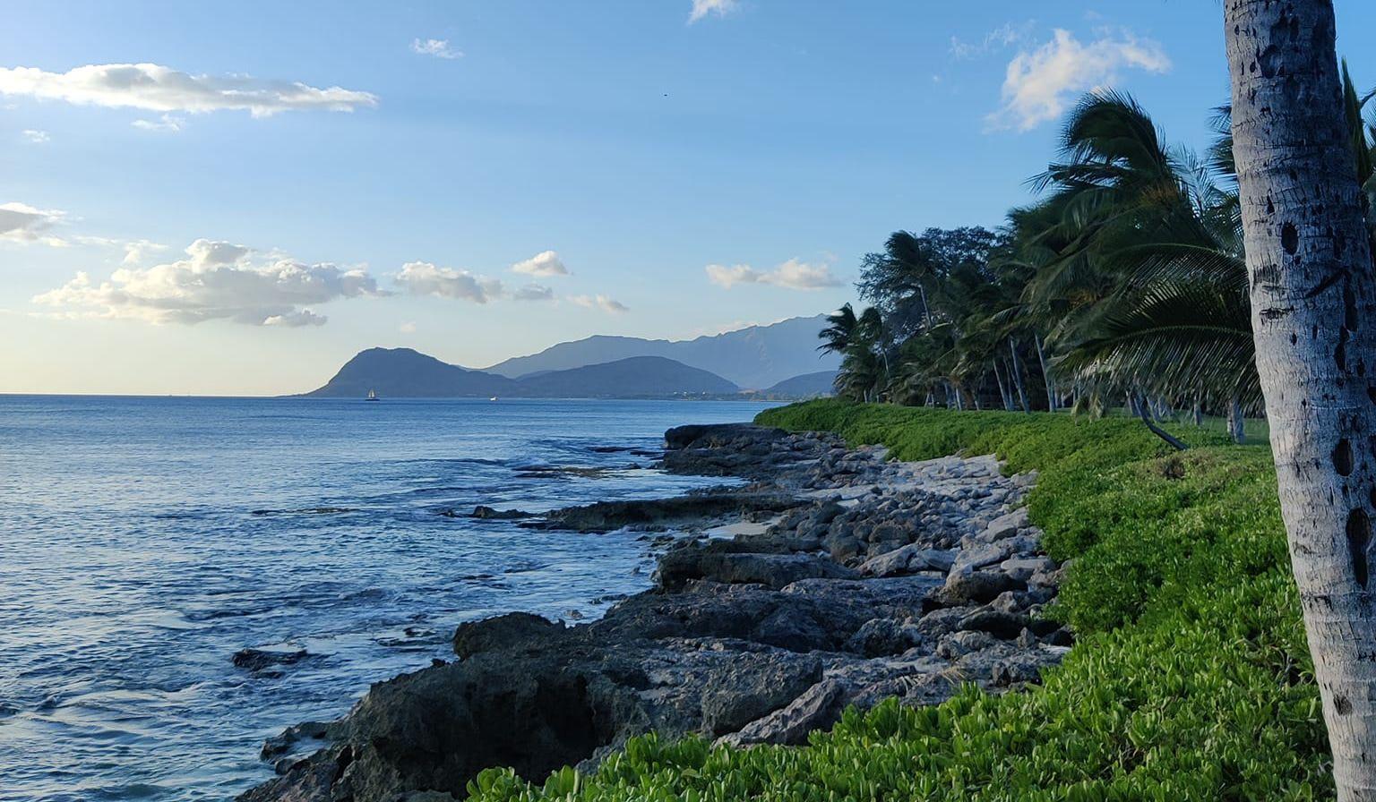 Robin Knutsen and Shawn Henry's Wedding Website