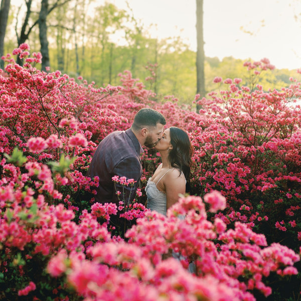 Jennifer Gavigan and Michael Piccirilli's Wedding Website