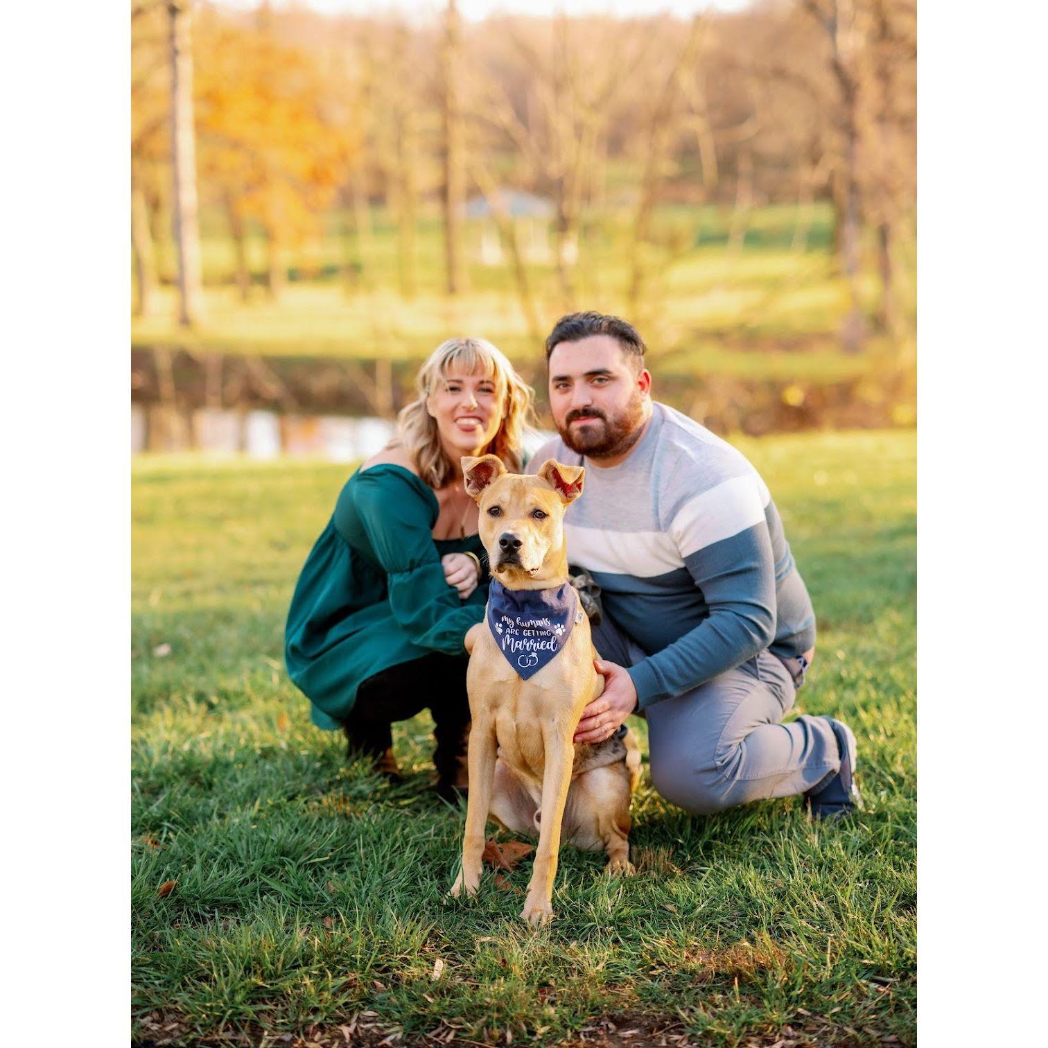 Laura Necci and Michael Shaw's Wedding Website