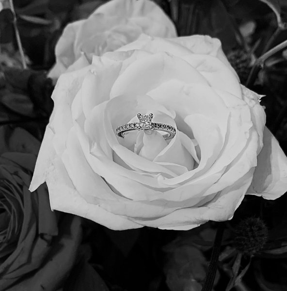 Victoria Tapia and Edgar Medina's Wedding Website