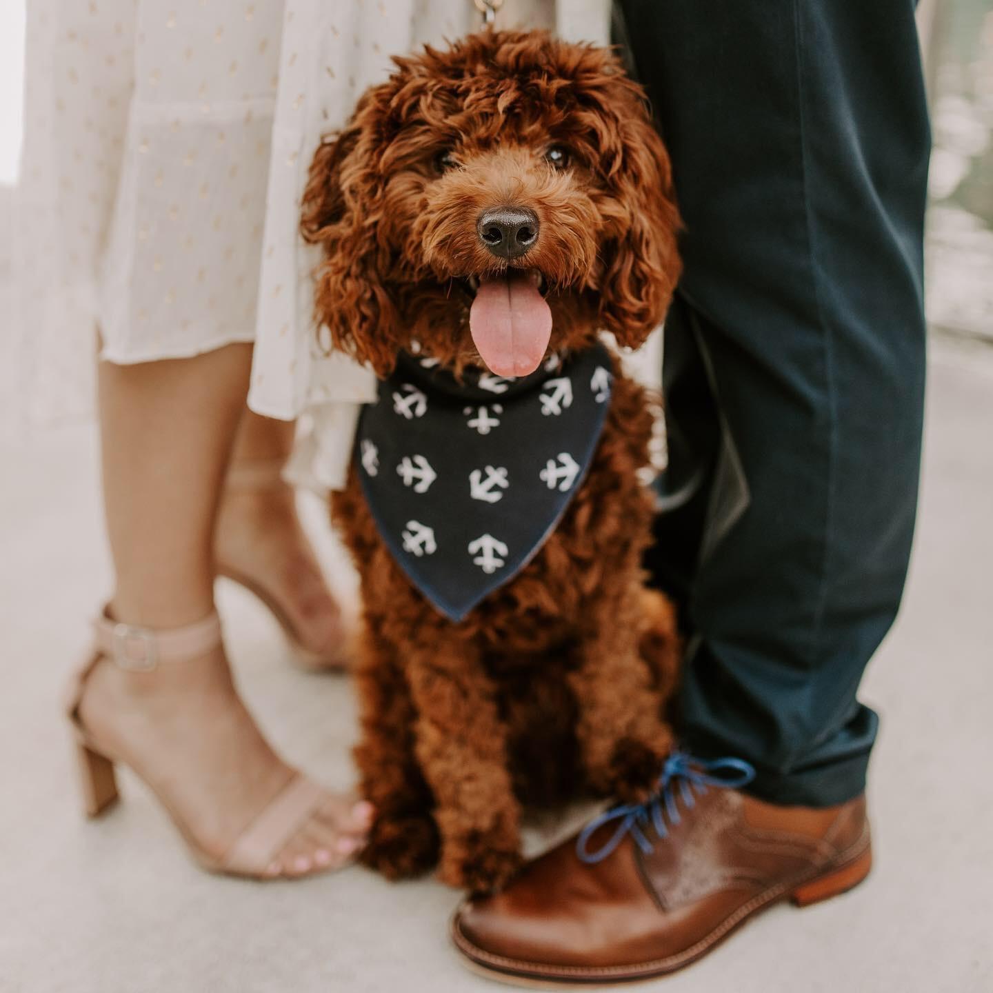 Melissa Kuhn and Brian Waggoner's Wedding Website