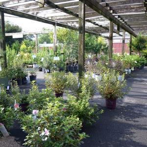 KARA PAGE and COMER GAITHER's Wedding Registry on Zola