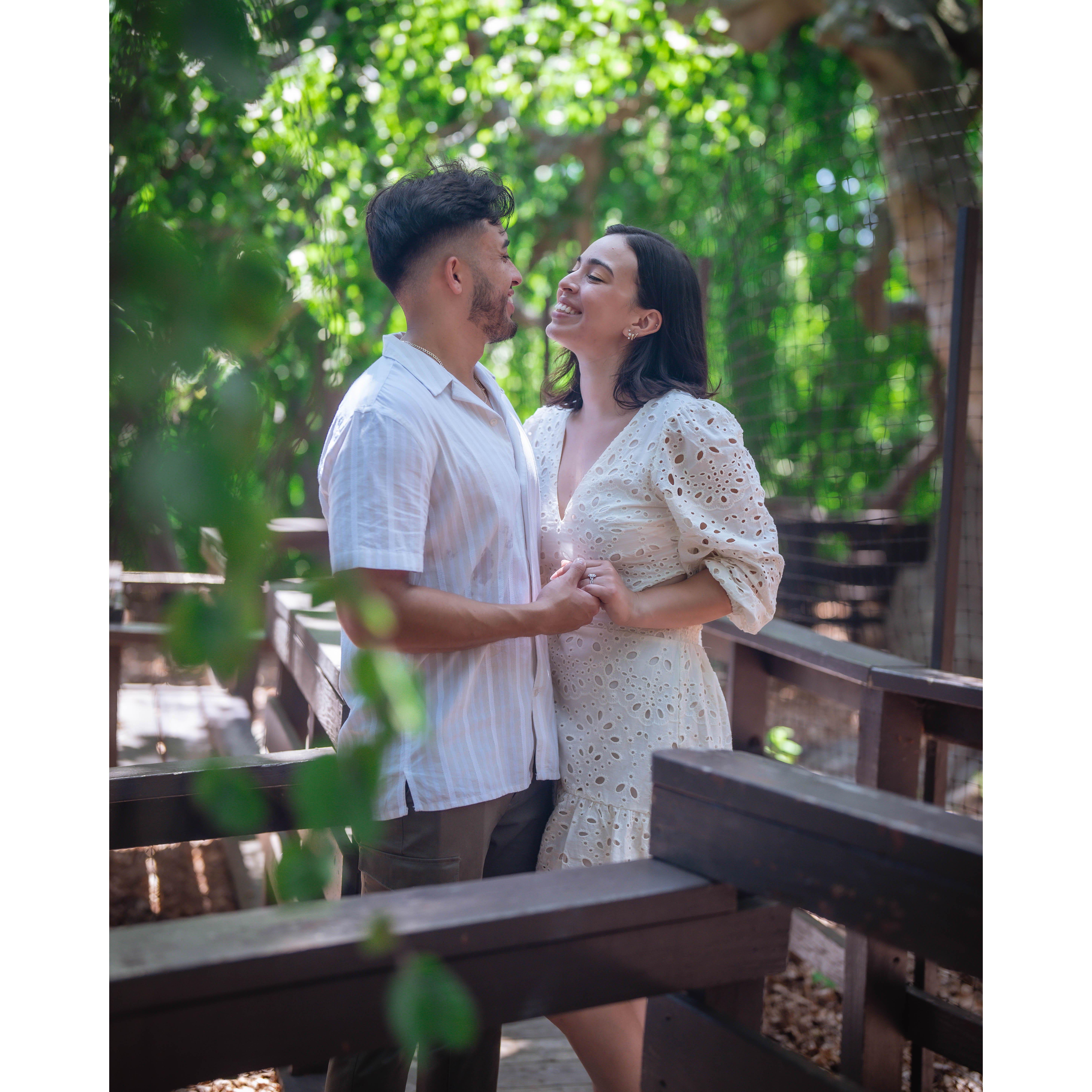 Amy Esquivel and Eric Mejia's Wedding Website