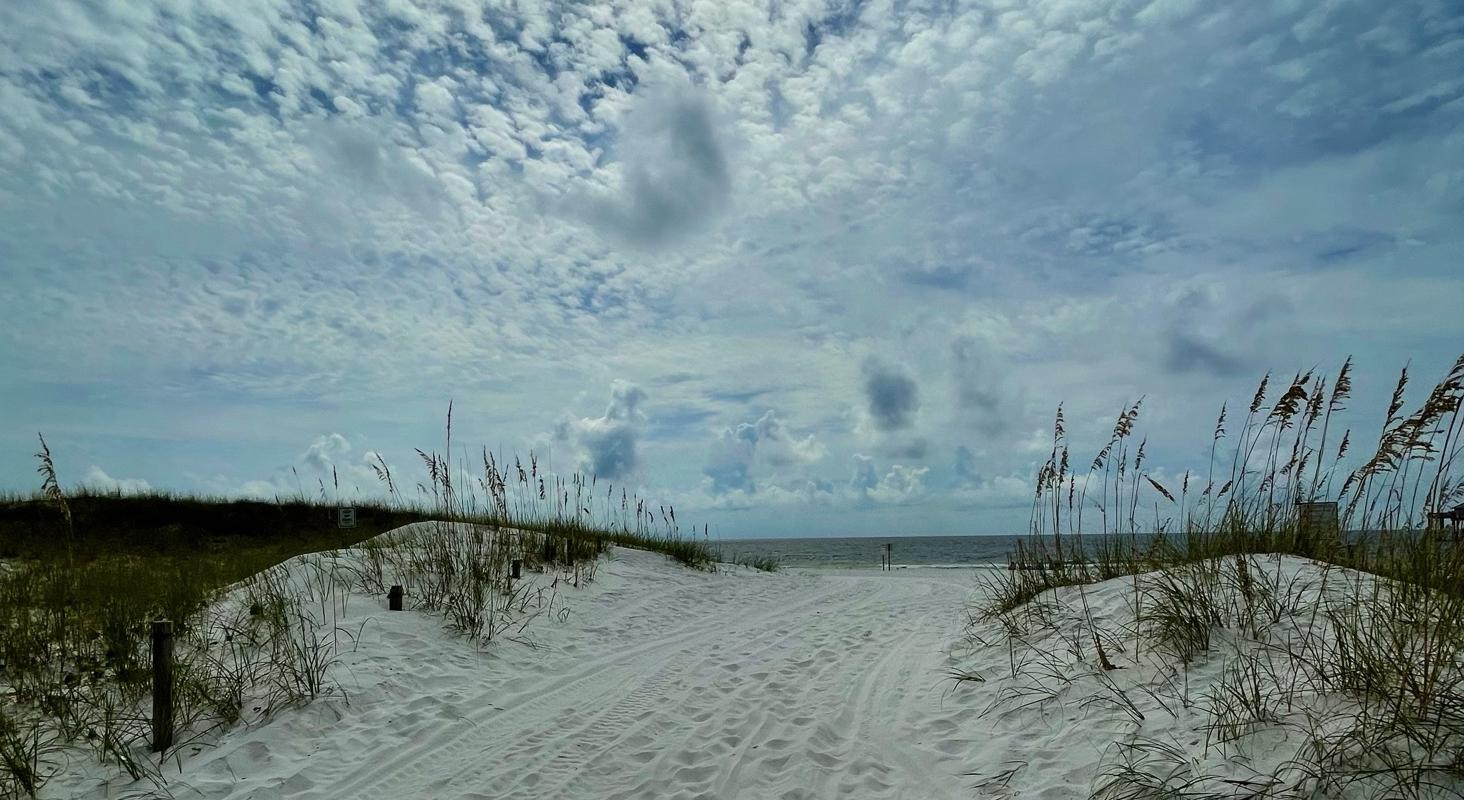 Destinee Rosenberger and Derek Kissell's Wedding Website