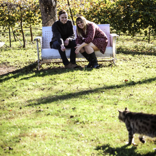 Allie Frank and Tyler Bright's Wedding Website