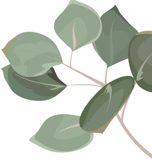 Krystal Borges and Jeffrey Shea's Wedding Website