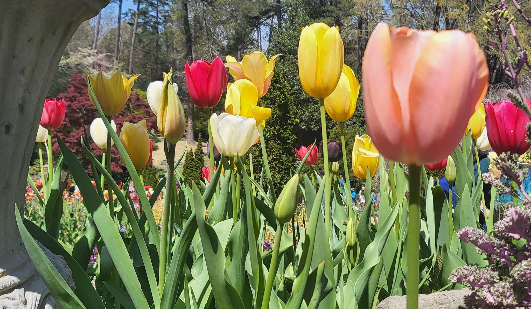 Kimberly A. Bambach and David C. Rynne's Wedding Website