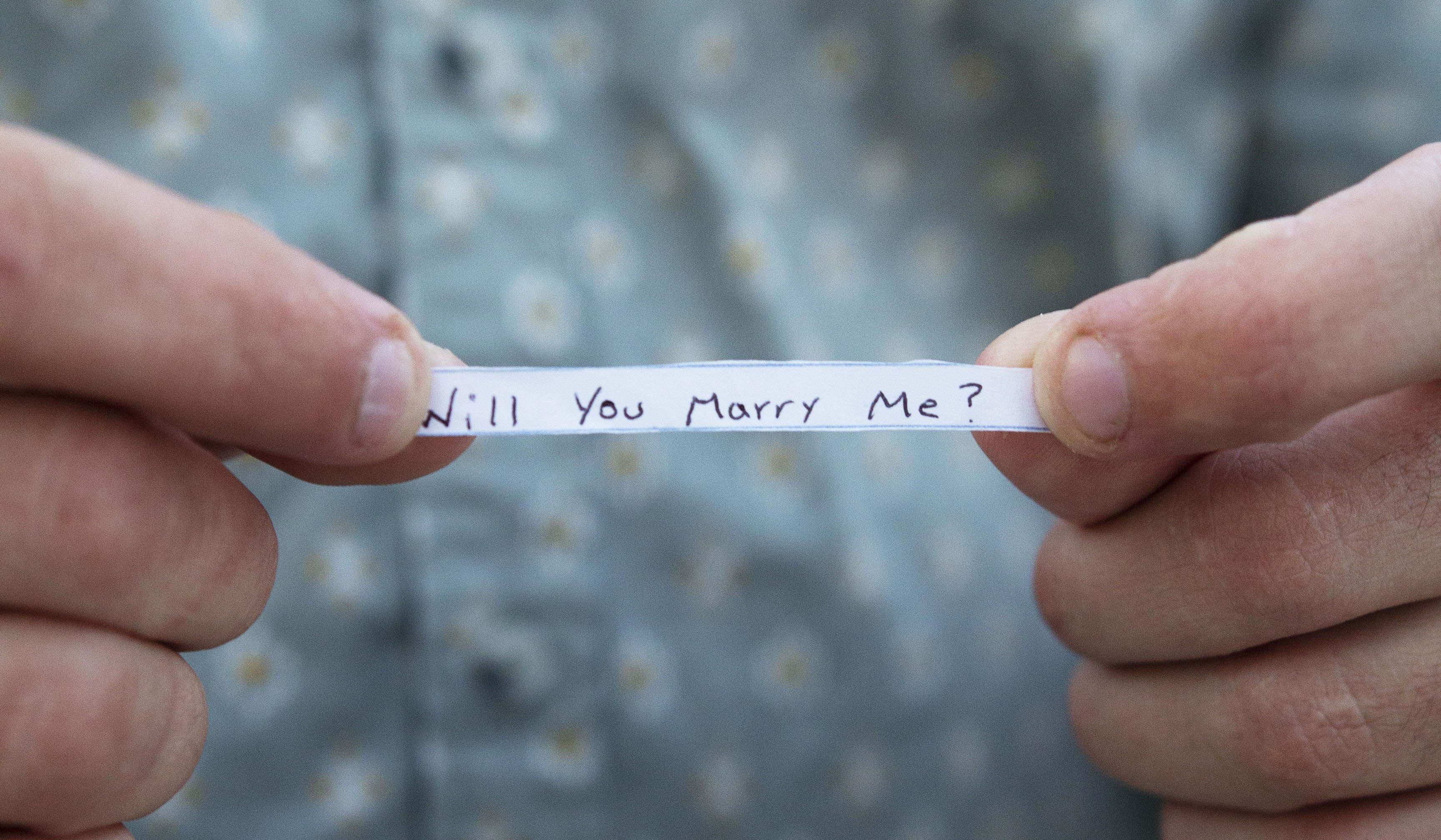 Alison Pelletier and Stephen St. Pierre's Wedding Website