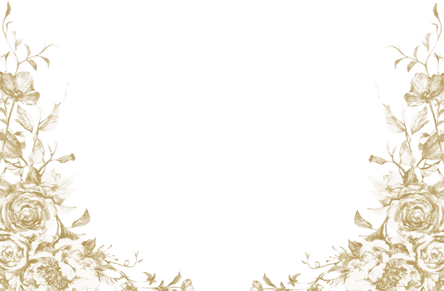 Anjelica Singer and Stephen Homza's Wedding Website