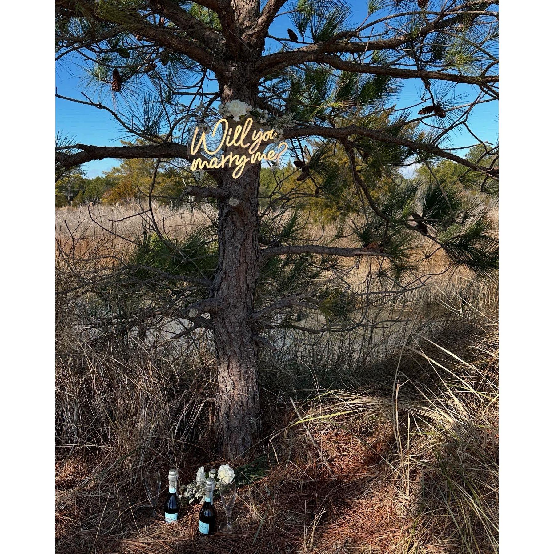 Kristi Edwards and Nick Cotrone's Wedding Website