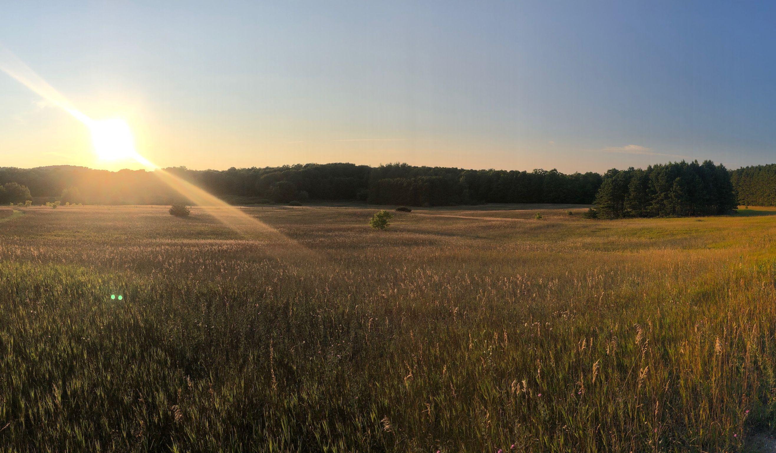 Haley Moore and Liam Devine's Wedding Website