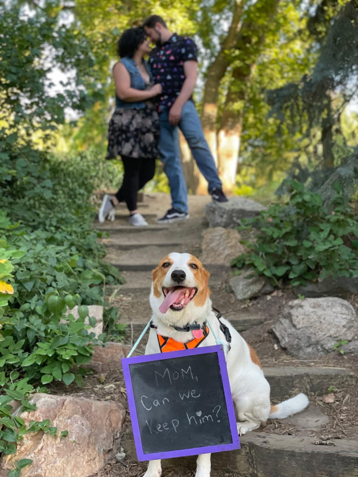 Nichole Gilbert and Anthony Kunz's Wedding Website