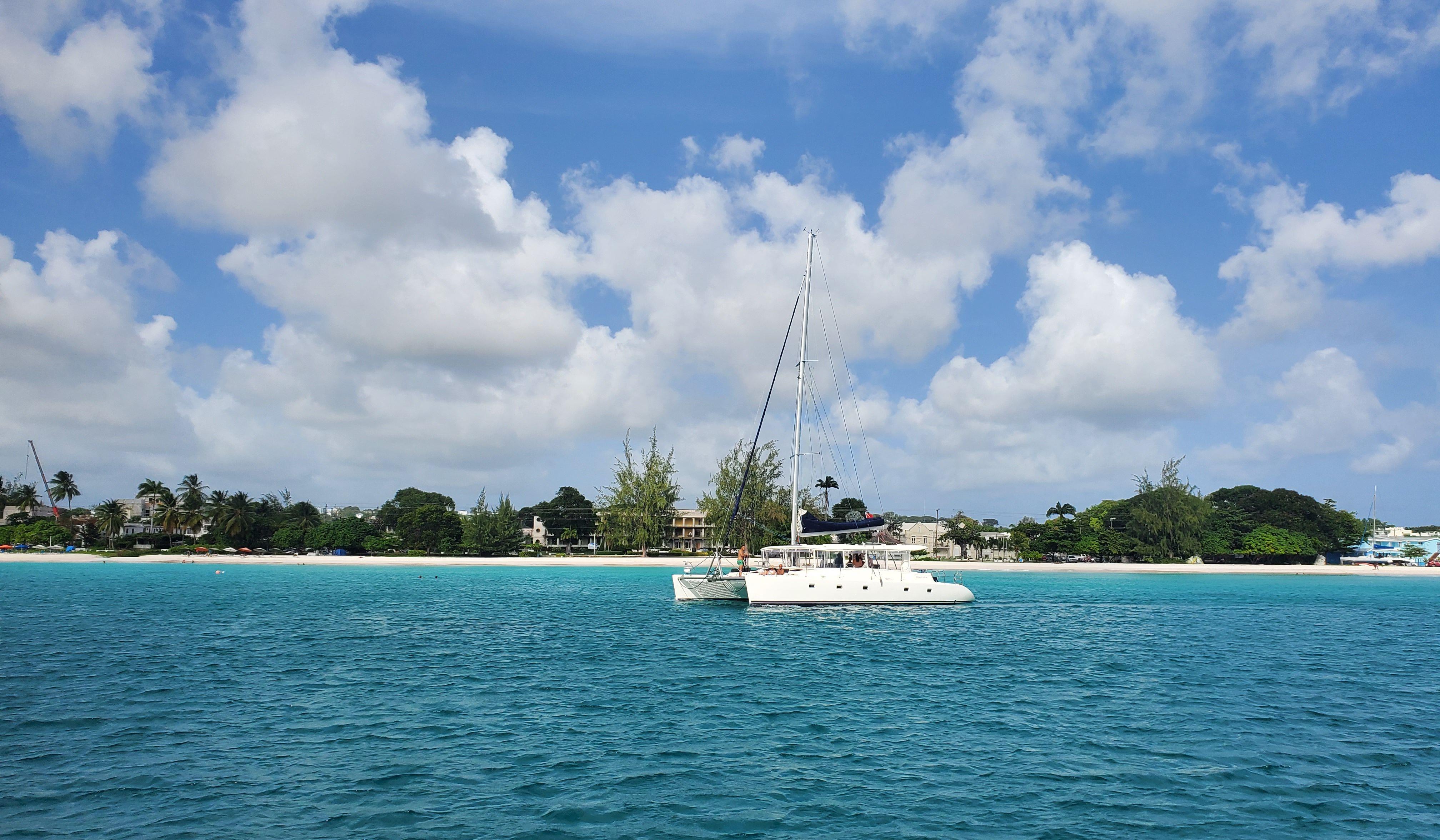 Claire Bickenbach and David Slavich's Wedding Website