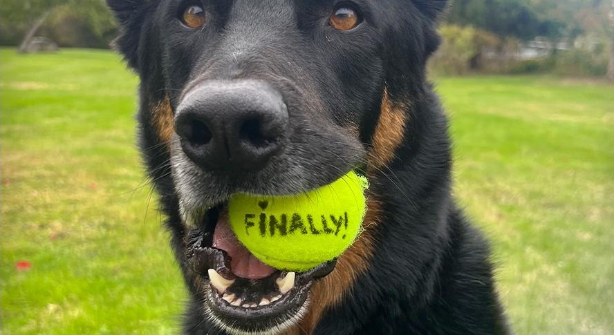 Jamie Balkin and Scott Woods' Wedding Website