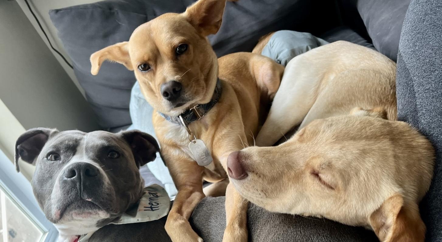 Taylor Marisa Kent and Erik Rand Ashman's Wedding Website