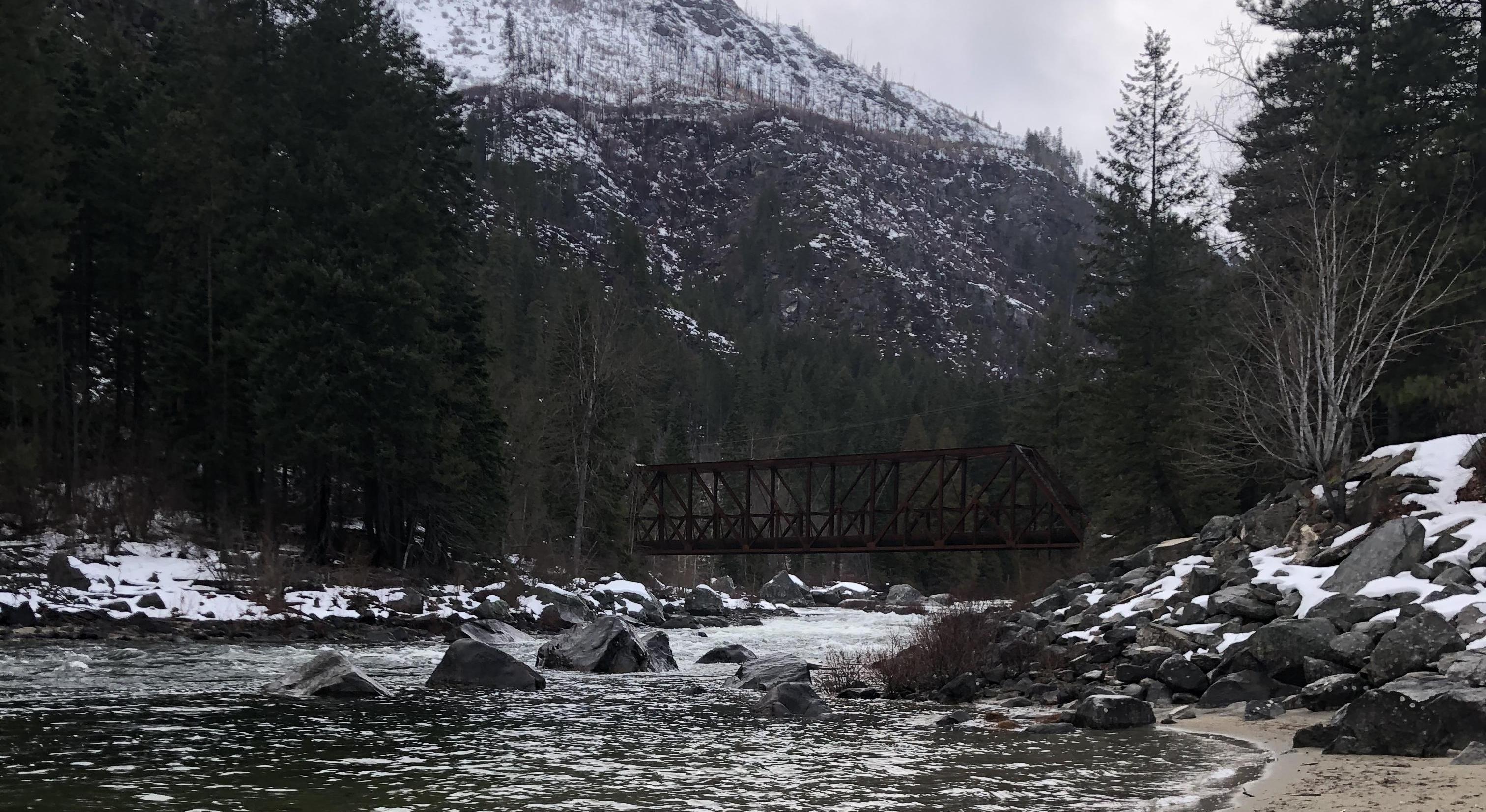 Lenina Serna and Shane Jordan's Wedding Website