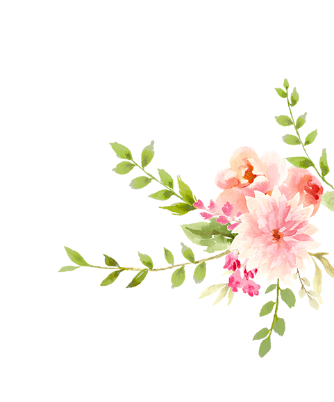 Allie Hahn and Jonathan Reedy's Wedding Website