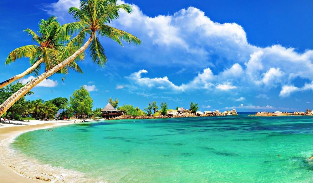 Lauren Force and Jason Bogart's Wedding Website