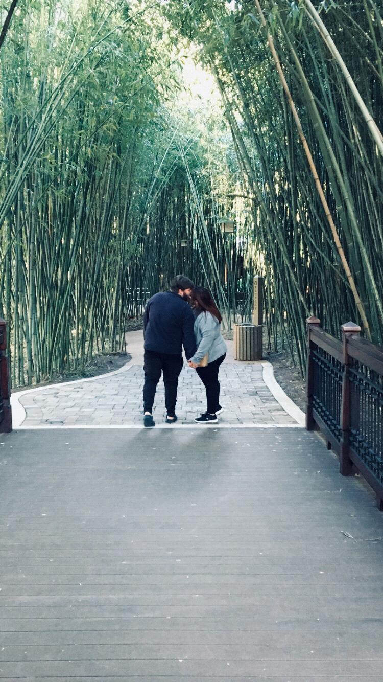 Christiana Miranda and Forrest Finch's Wedding Website