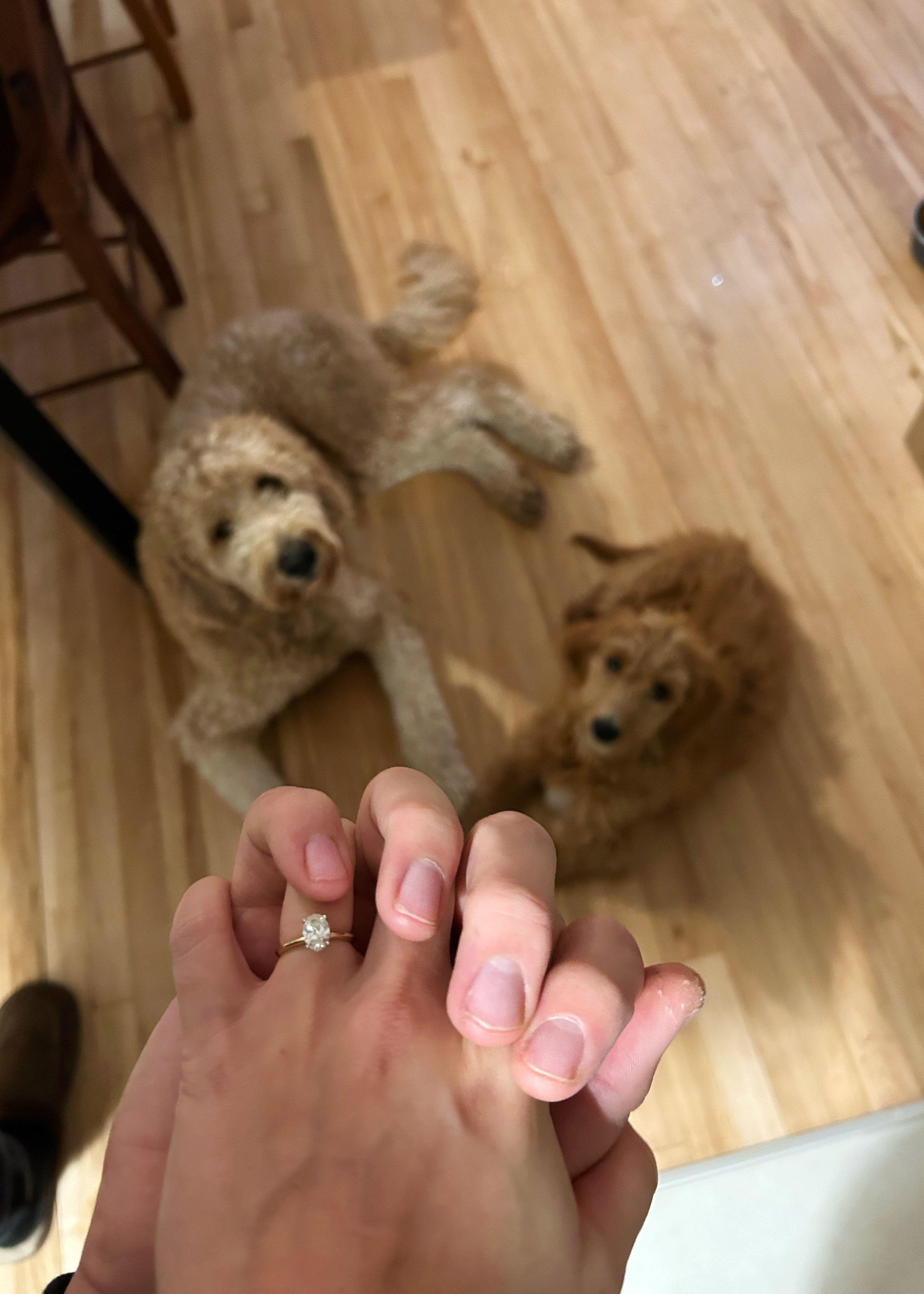 MARK HAGGARTY and HANNAH ACKERMAN's Wedding Website