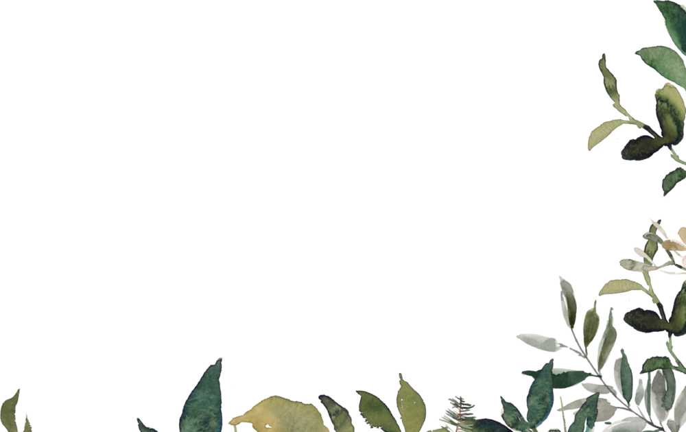 Sophie Allen and Daniel Irvin's Wedding Website