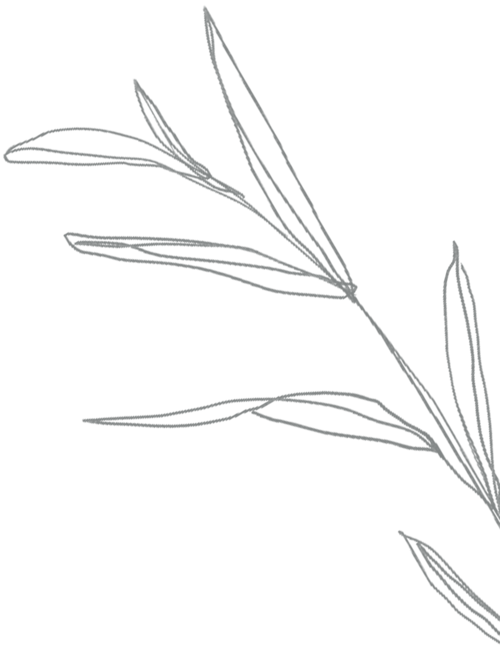 Alyssa Gemmell and Cameron Bouchard's Wedding Website