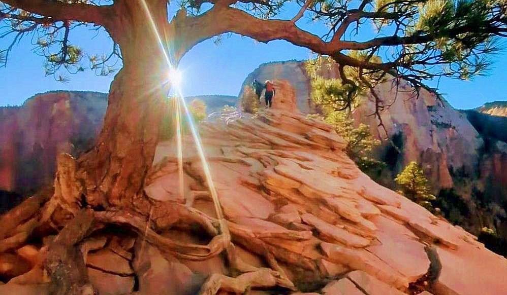 Brittany Searl and Jason Furman's Wedding Website