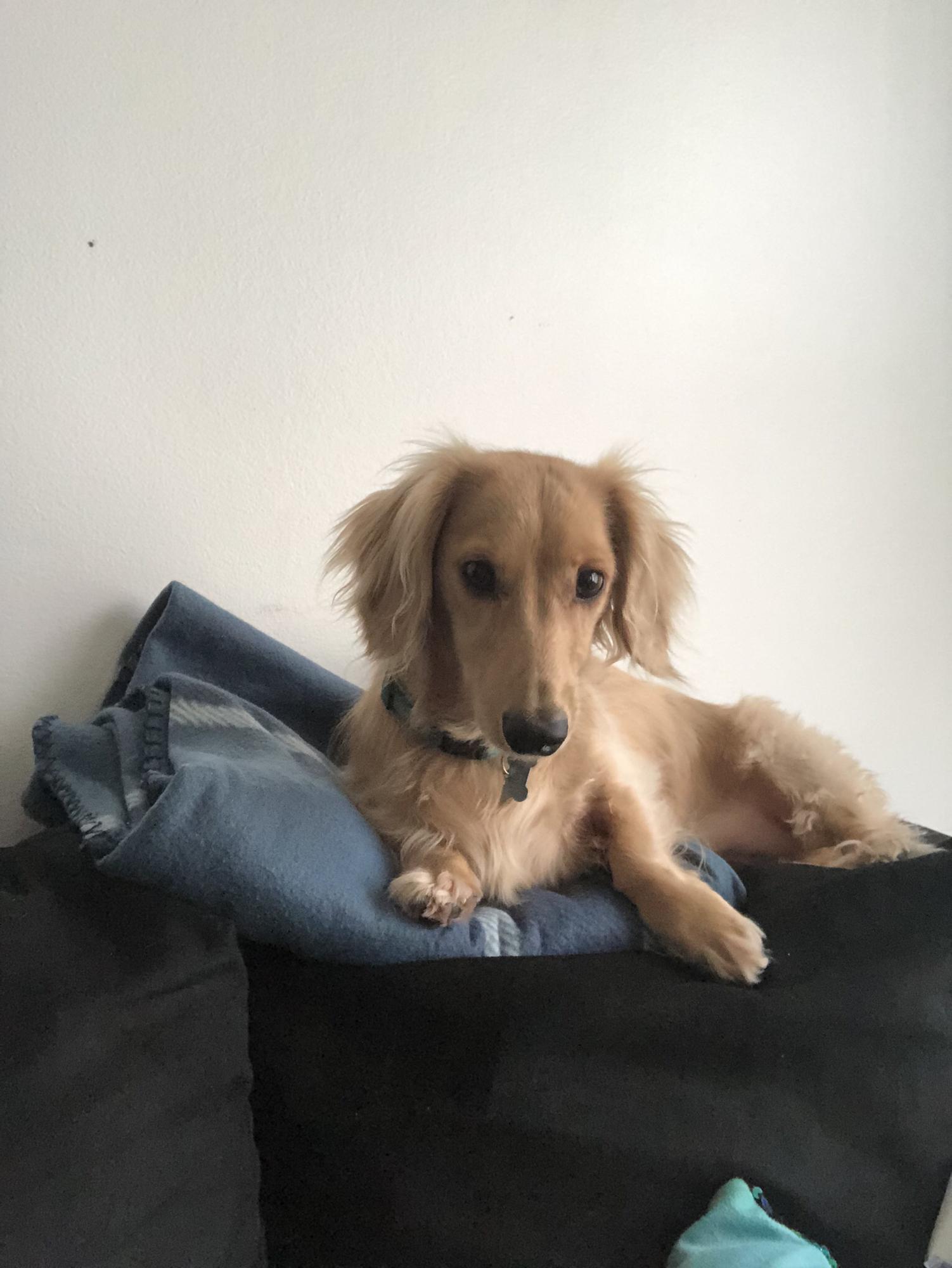 Stormy DeLong and Donnie Locklear's Wedding Website