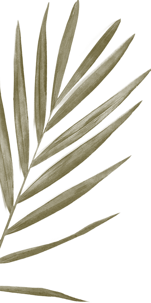 Natalie Naylon and Drew Otten's Wedding Website