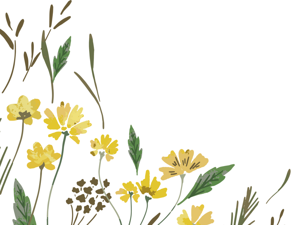 Kelsey Dietz and Canute Haroldson's Wedding Website