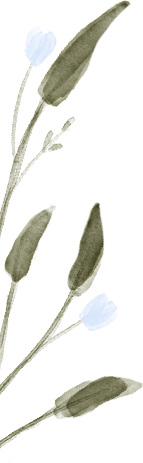 Matthew Marotta and Amy Michel's Wedding Website