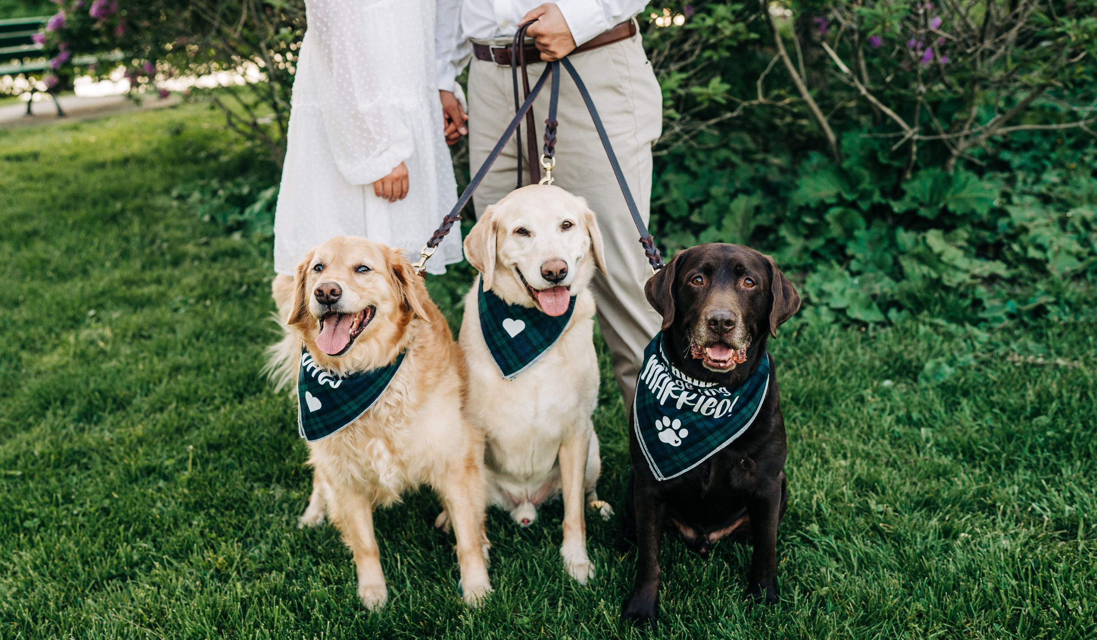 Abby Craighead and Angel Jacquez's Wedding Website
