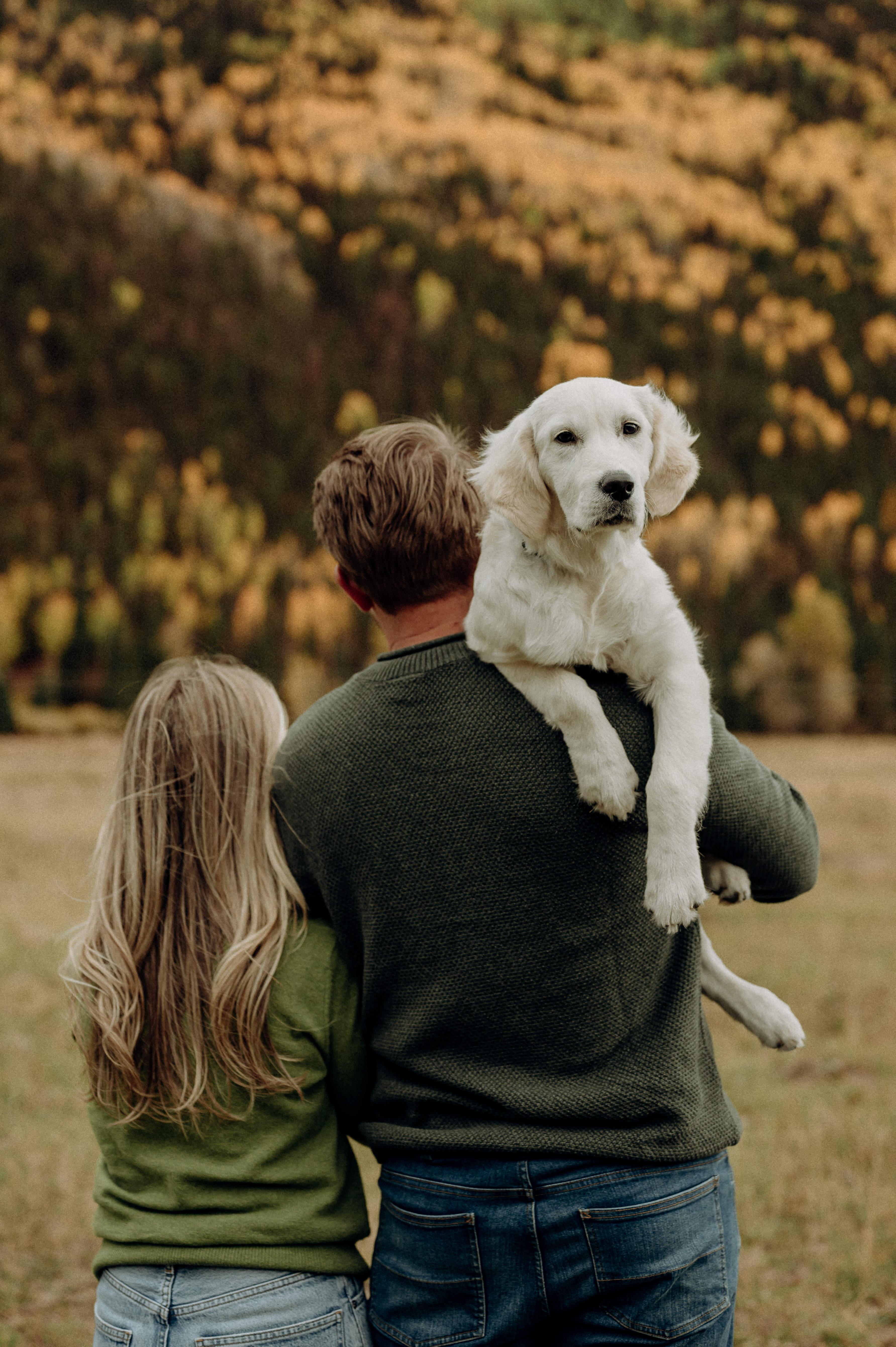 Rachel Wallace and Lucas Andersen's Wedding Website