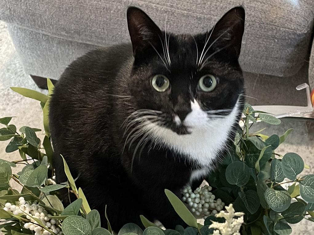 Natalie Berry and Jacob Nagy's Wedding Website